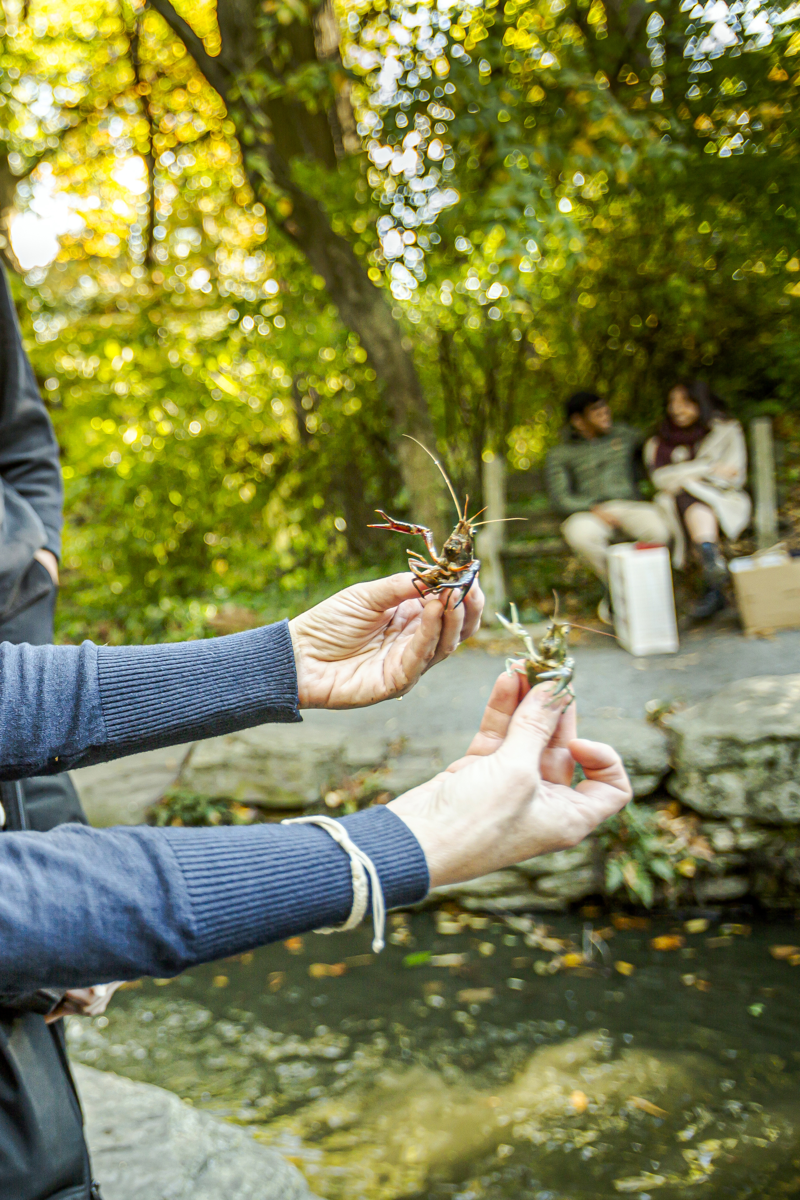One Health@Penn | UPenn EII
